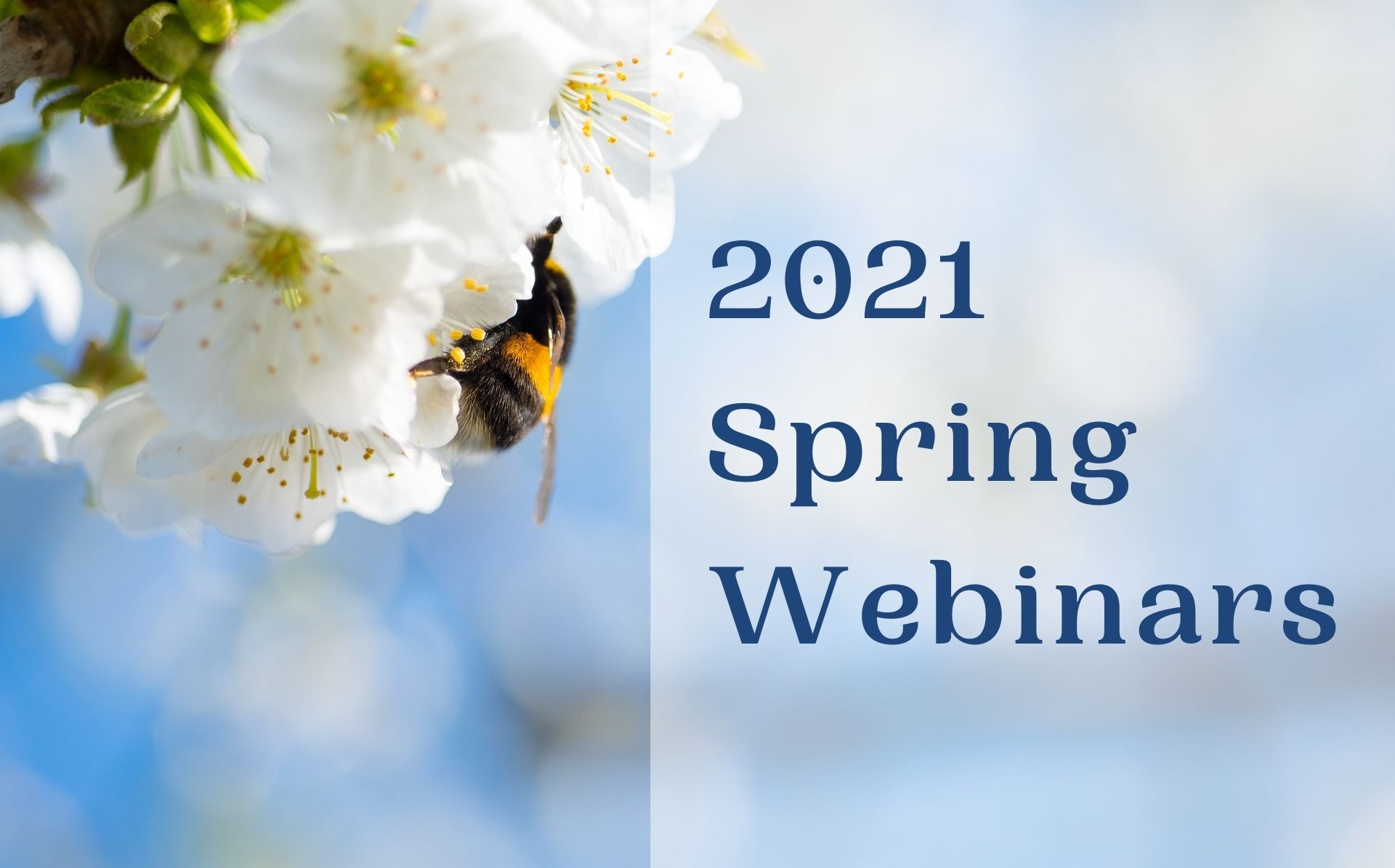 2021 Spring Webinar Series – CCCOER
